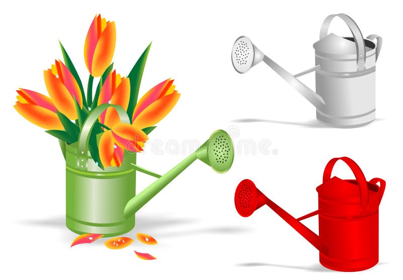 Watering Pot and Tulips, Cdr Vector Stock Vector - Illustration of ...