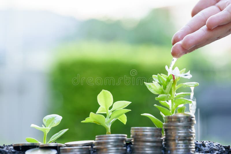 Watering Small Trees with Strack Coins. Stock Photo - Image of saving ...