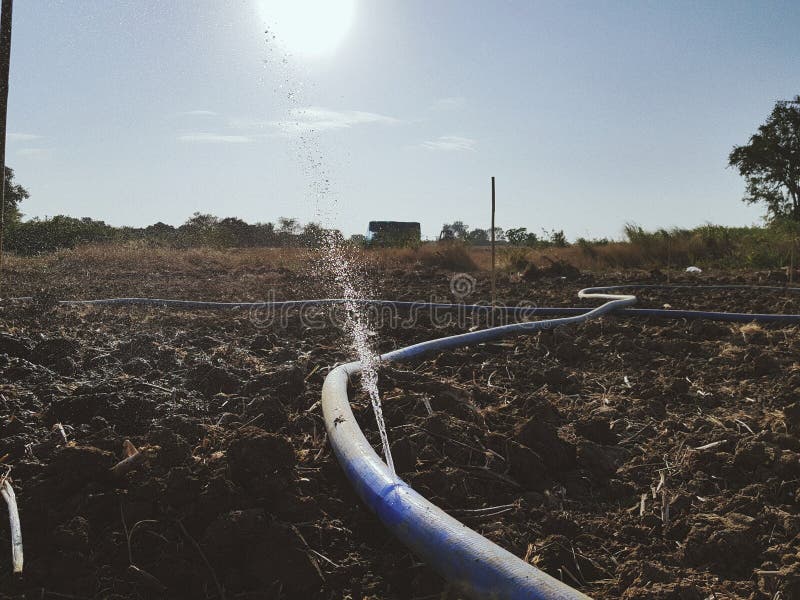 Watering stock photo. Image of soil, water, field, watering - 106792282