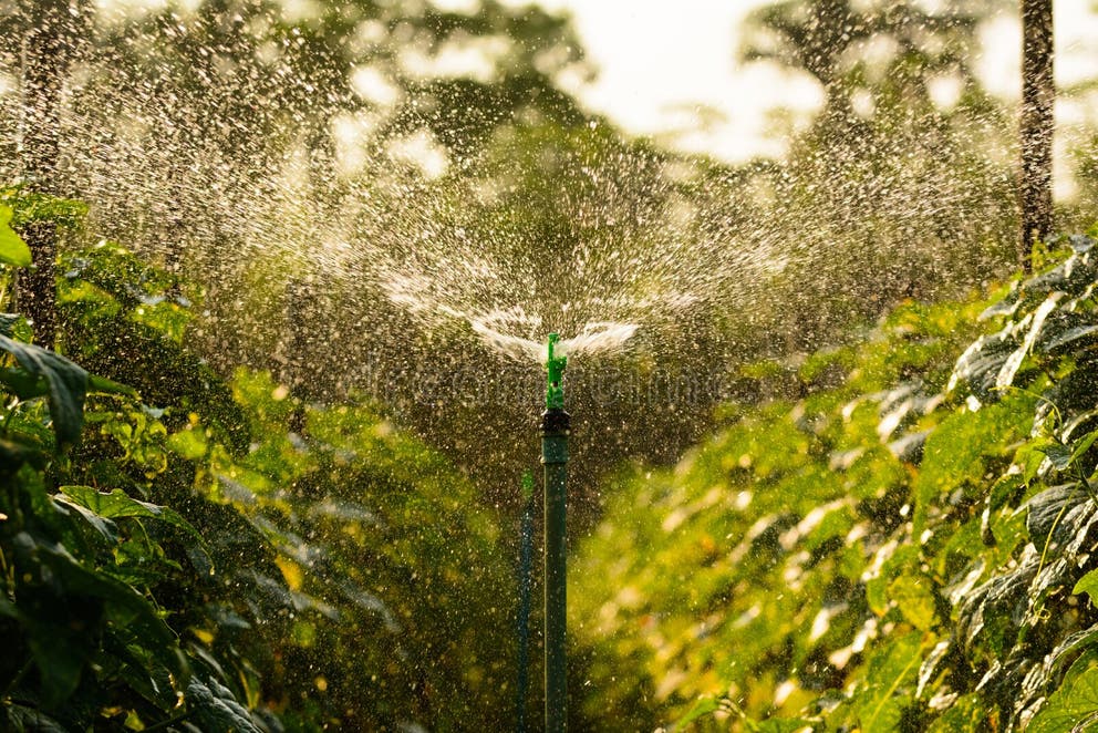 Watering from springer stock photo. Image of green, environment - 46032672