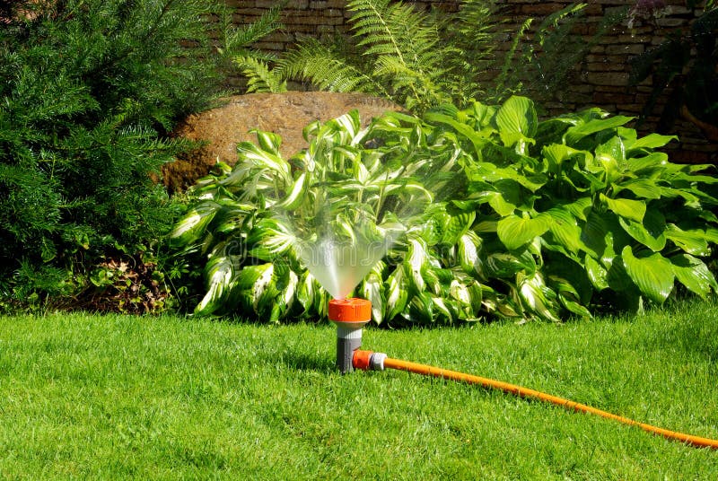 Watering sprinkler stock photo. Image of green, flora - 3959790