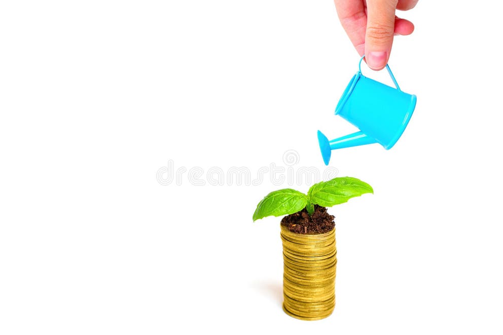 Watering a Sprouting Seedling on a Coins Stack Stock Image - Image of ...