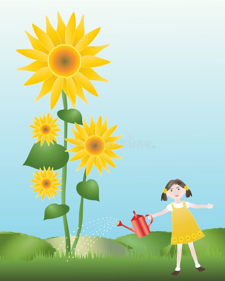 Watering sunflowers stock vector. Illustration of girl - 18505322