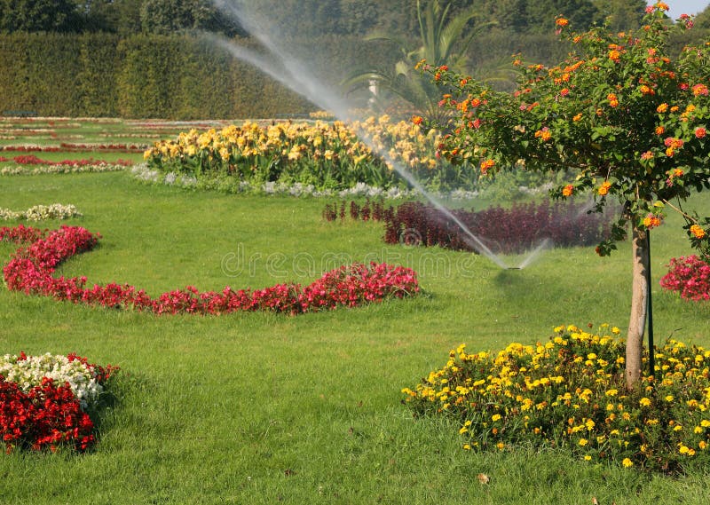 Watering System for Flowering Trees and Flowers in Flowerbeds in Summer ...