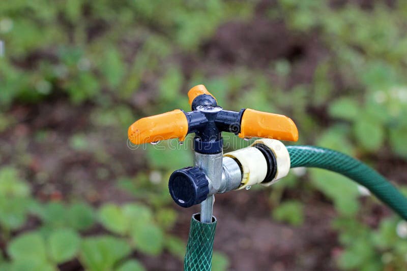 Watering System in the Garden Stock Photo - Image of outdoor, grass ...