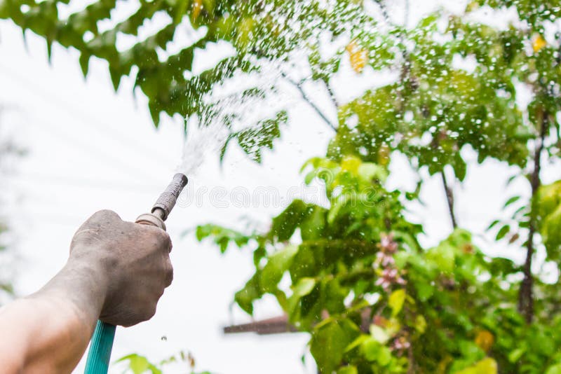 Trees and pumping stock image. Image of head, pumps, field - 4655219