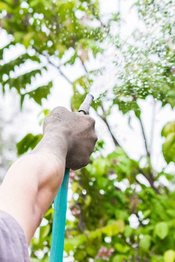 Trees and pumping stock image. Image of head, pumps, field - 4655219