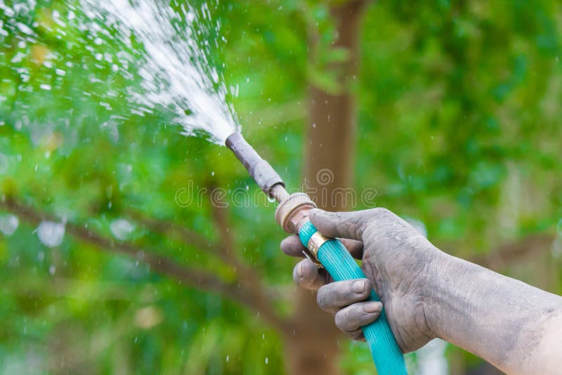 Trees and pumping stock image. Image of head, pumps, field - 4655219