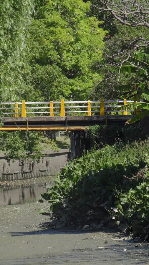 A Yellow Bridge Over River Waterless Stock Photo - Image of train ...