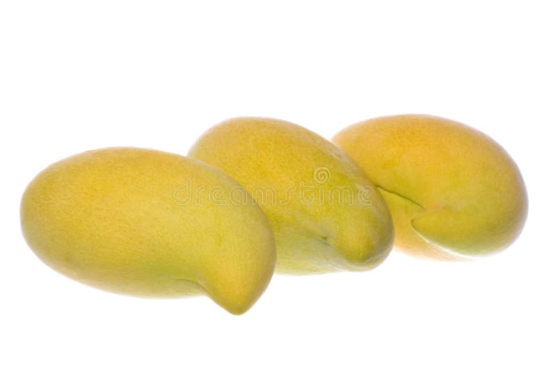 Waterlily Mangoes Isolated stock image. Image of lily - 9415795
