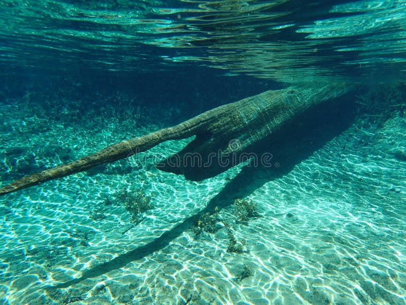 Waterlogged stock photo. Image of water, waterlogged - 51463890