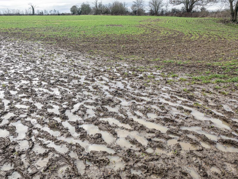 Water Logged Fields from Recent Heavy Prolonged Rain Storms Stock Photo ...