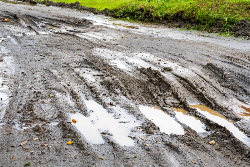 Waterlogged Sandy Path at a Park with the Multiple Vehicle S Tracks ...