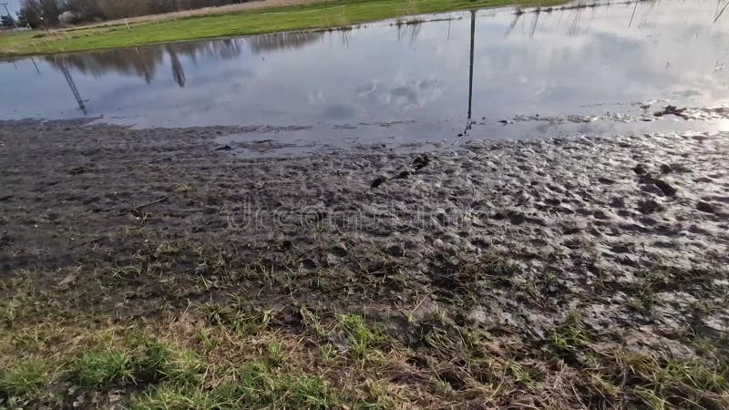 Waterlogged Soil in the Park Does Not Receive Water from the Spring ...