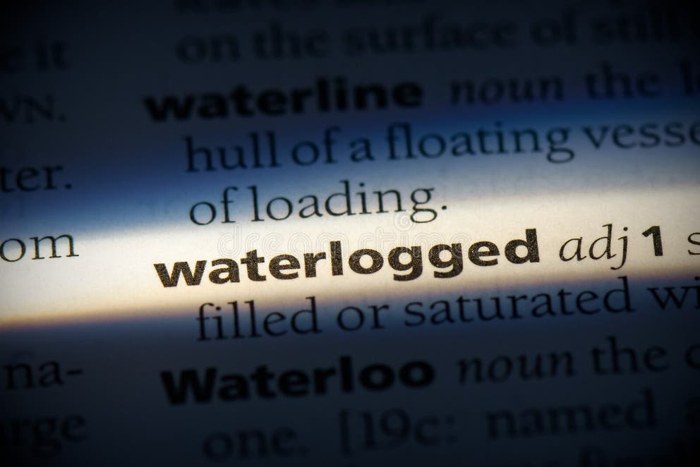 Waterlogged stock image. Image of macro, english, education - 161574885