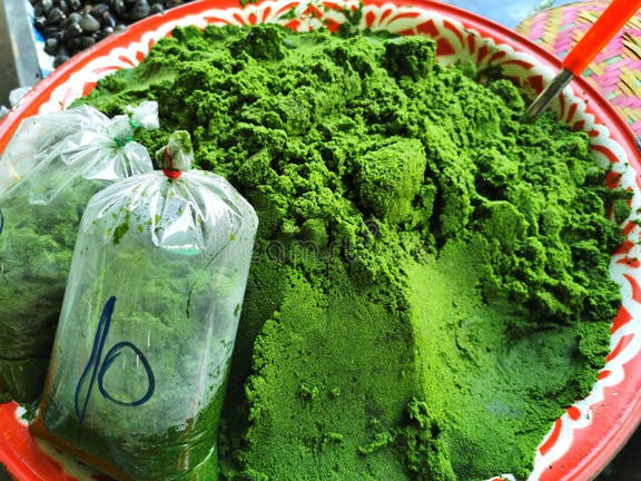 WaterMeal Wolffia stock photo. Image of green, aqutic - 202634814