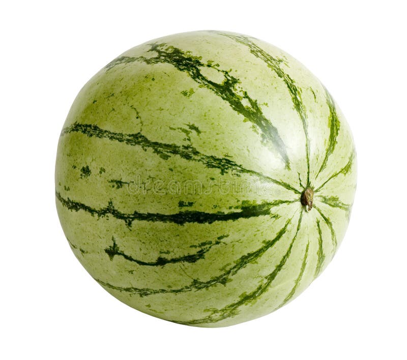 Watermeloen stock foto. Image of ronde, rijp, tropisch - 248956