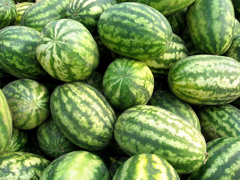 Watermeloenen stock afbeelding. Image of hoop, verkoop - 7521375
