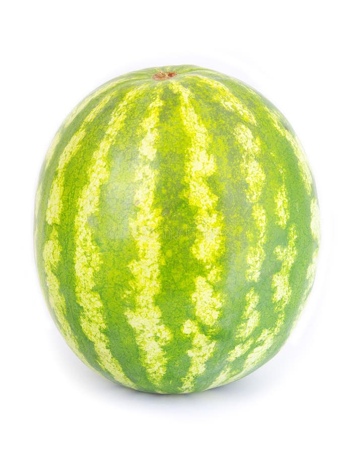 Watermelon stock image. Image of green, tasty, harvest - 440539