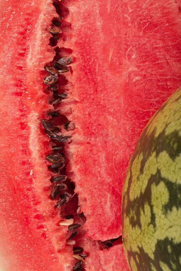 Watermelon stock image. Image of snack, watermelon, succulent - 10724097