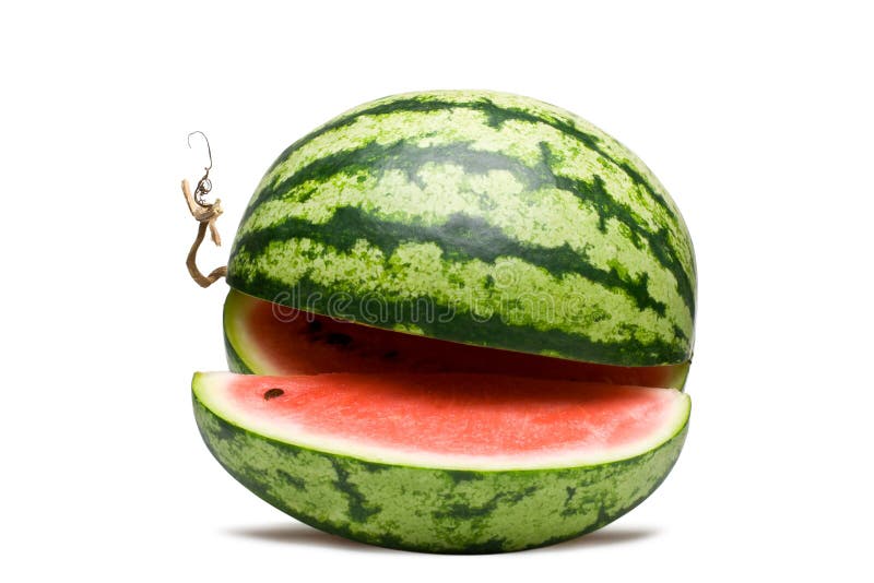 Funny watermelon stock photo. Image of funny, fruit, food - 20855962