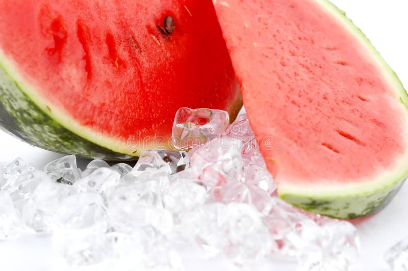 Cranberry stock photo. Image of christmas, branch, closeup - 263270