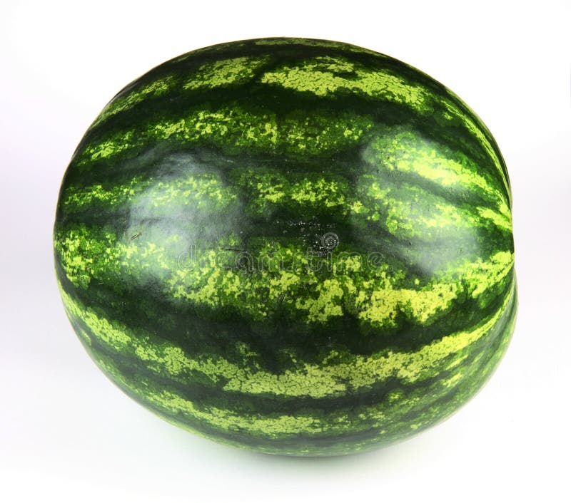 Watermelon stock image. Image of healthy, organic, plant - 1755935