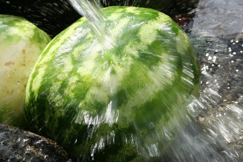 Watermelon stock image. Image of round, desert, pretty - 1493439