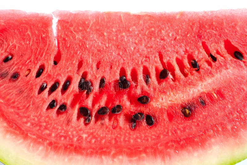 Watermelon stock image. Image of food, textured, sweet - 15895417