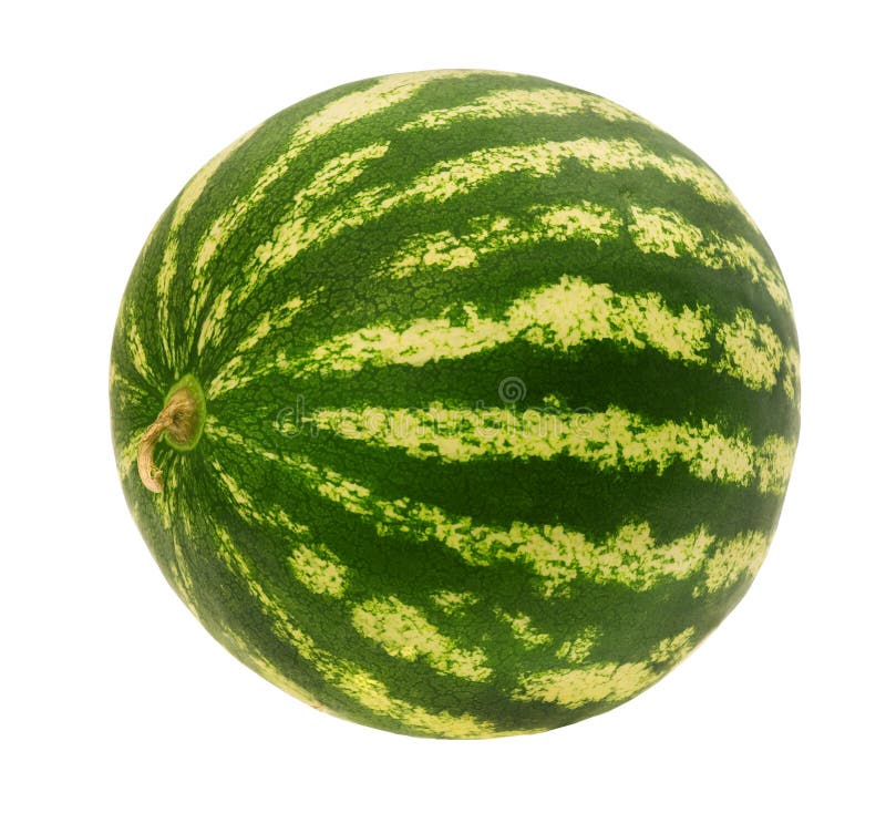 Watermelon stock image. Image of sphere, full, summer - 15654273