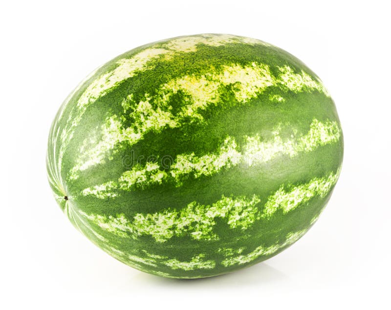 Watermelon stock image. Image of healthy, organic, plant - 1755935