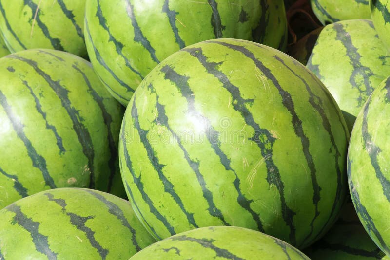 WATERMELON stock photo. Image of light, uncounted, cool - 27884900