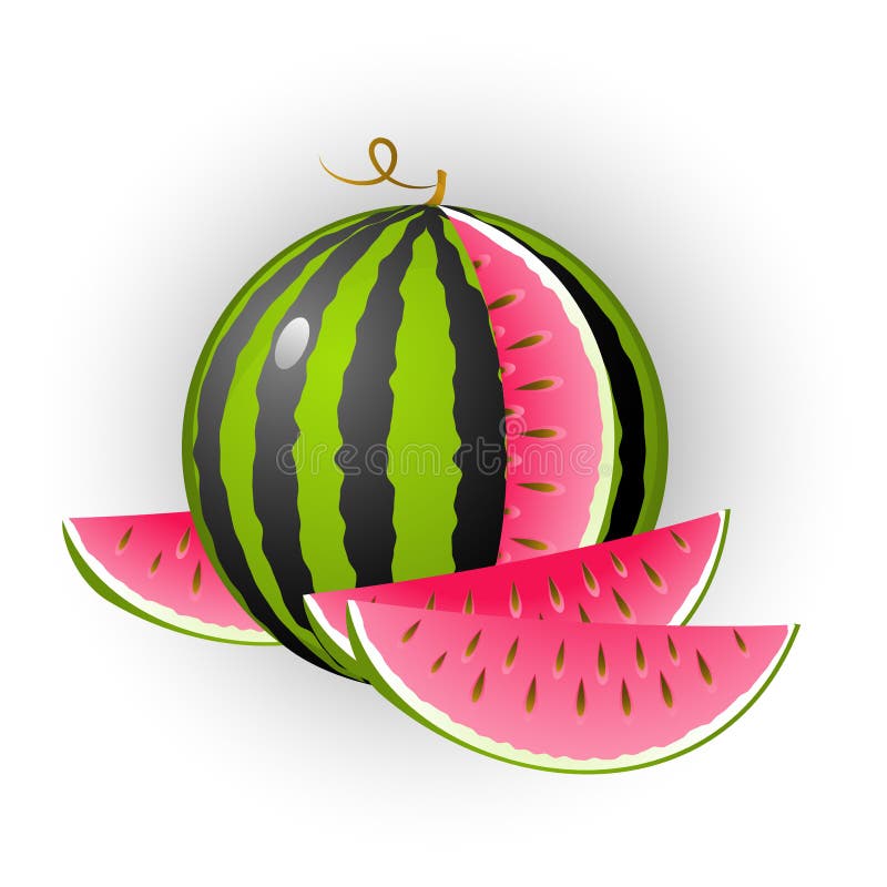 Cartoon Pink Watermelon Fruit Character Making a Crazy Face Stock ...