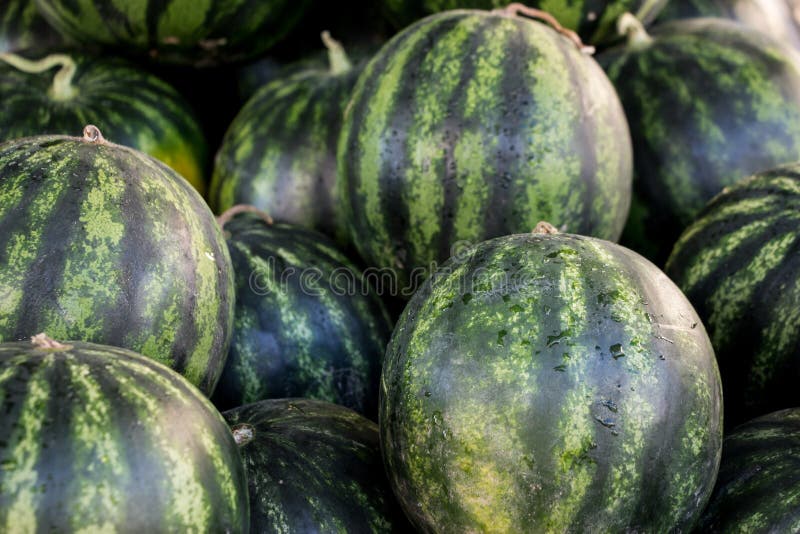 Watermelons Greece Stock Photos - Free & Royalty-Free Stock Photos from ...
