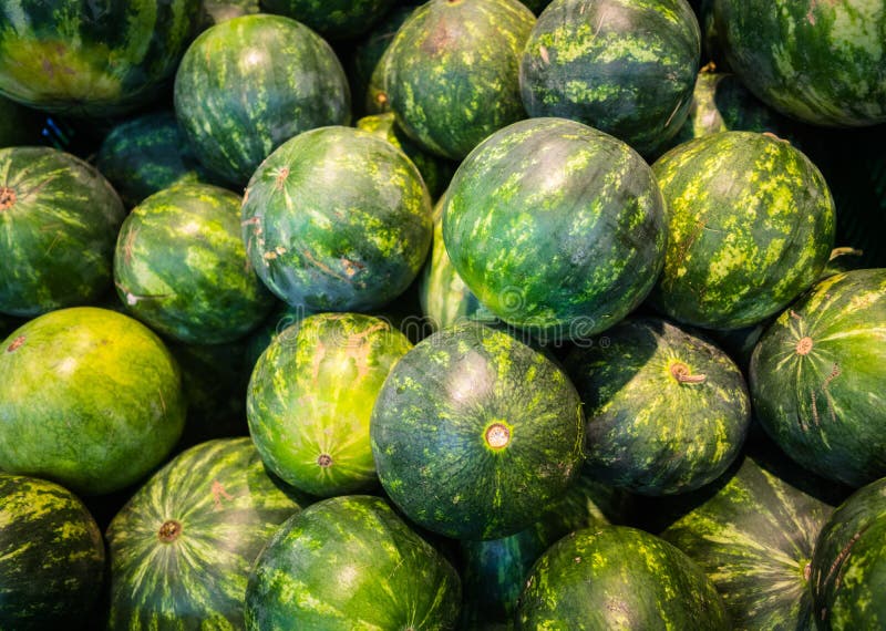 Watermelon Background Full Frame Whole Fruits Stock Image - Image of ...