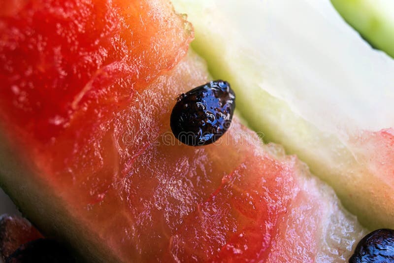 Core of watermelon stock image. Image of organic, efreshing - 32503145