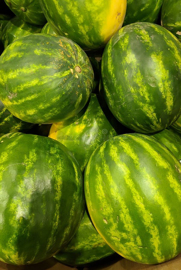 Watermelon in a box stock image. Image of watermelon - 266417487