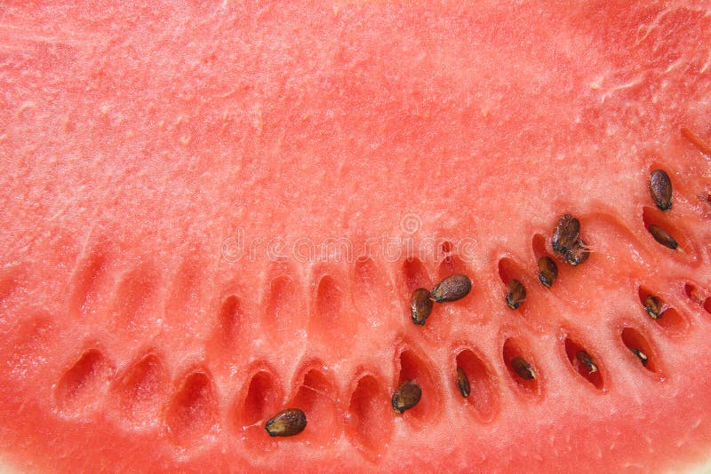 Watermelon close up stock photo. Image of pulp, diet - 10740720