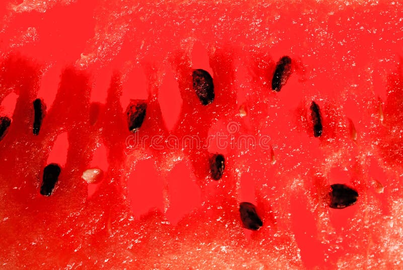 Egg timer clock stock photo. Image of kitchen, counting - 1165650