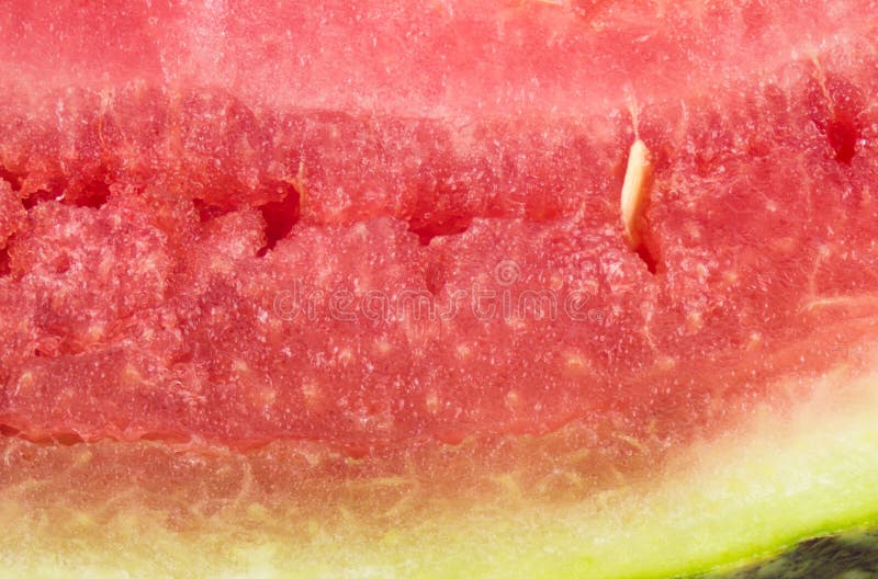 Watermelon with stock image. Image of macro, flesh, benefit - 100527941