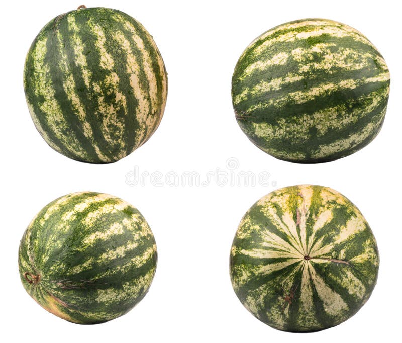 Four watermelon fruit stock image. Image of natural - 181399421