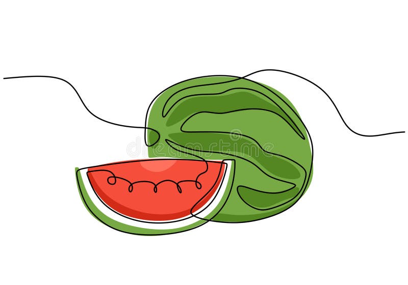Watermelon Continuous One Line Drawing, Fruit Vector Illustration Stock ...