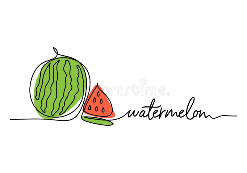 Watermelon Continuous One Line Drawing, Fruit Vector Illustration Stock ...