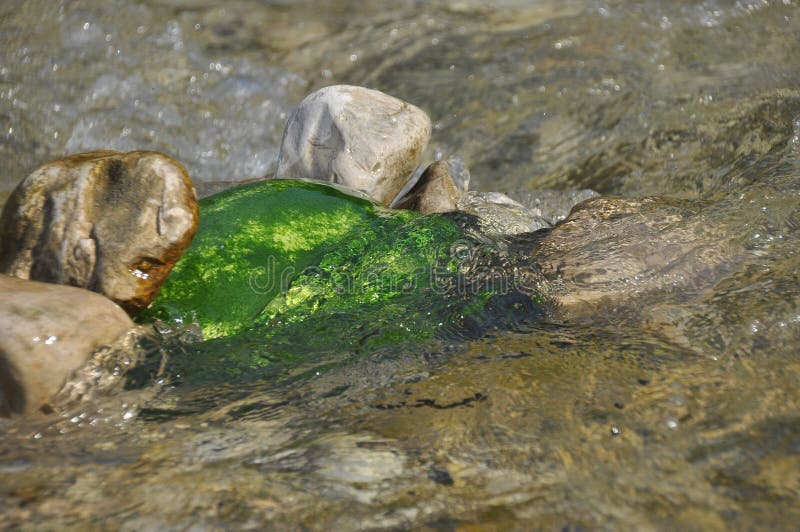 Cooling Watermelon River Stock Photos - Free & Royalty-Free Stock ...