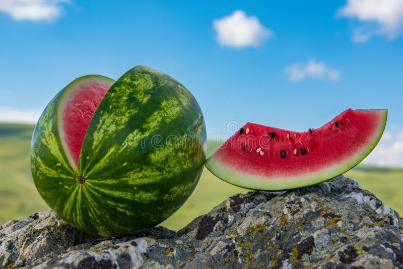 Watermelon stock photo. Image of lifestyle, glossy, chalk - 190906726