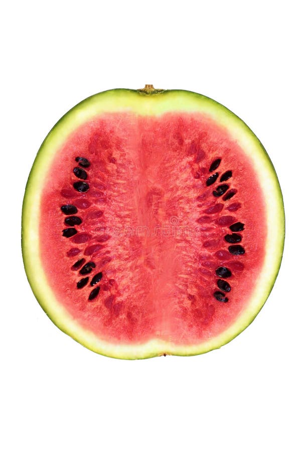 Watermelon Cross Section Clip Art
