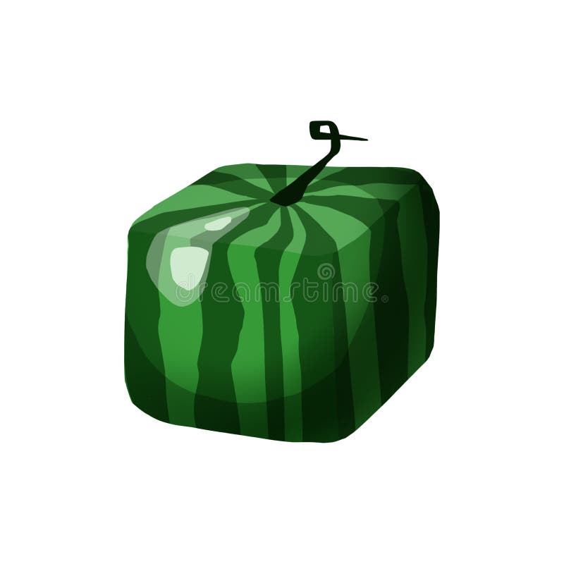 Watermelon Cube, Fruit of Interesting Shape, Hand Drawn, with ...