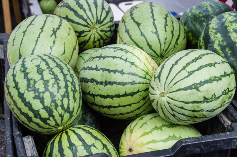 Watermelon On Display In Bulk At The Market Stock Photo - Image of ...