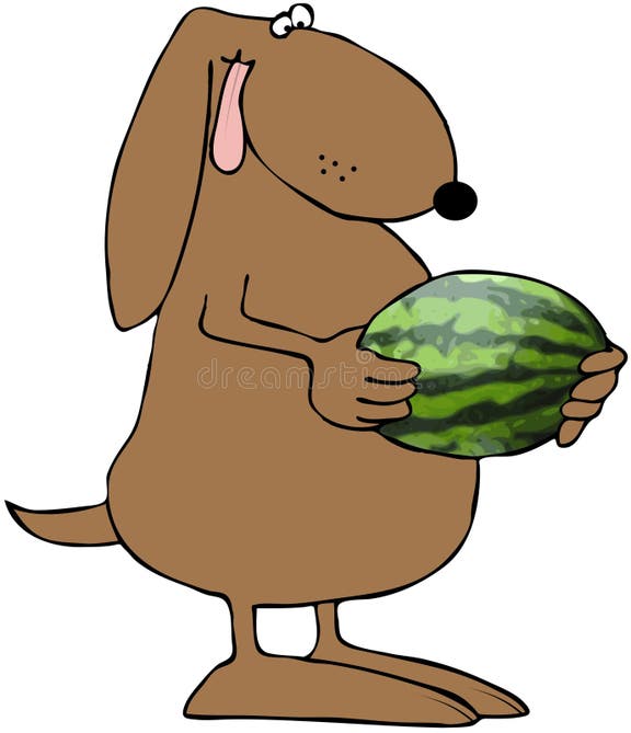 Watermelon Dog stock illustration. Illustration of mutt - 11583362