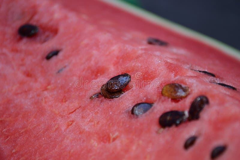 Watermelon stock photo. Image of blue, juicy, dessert - 79507018